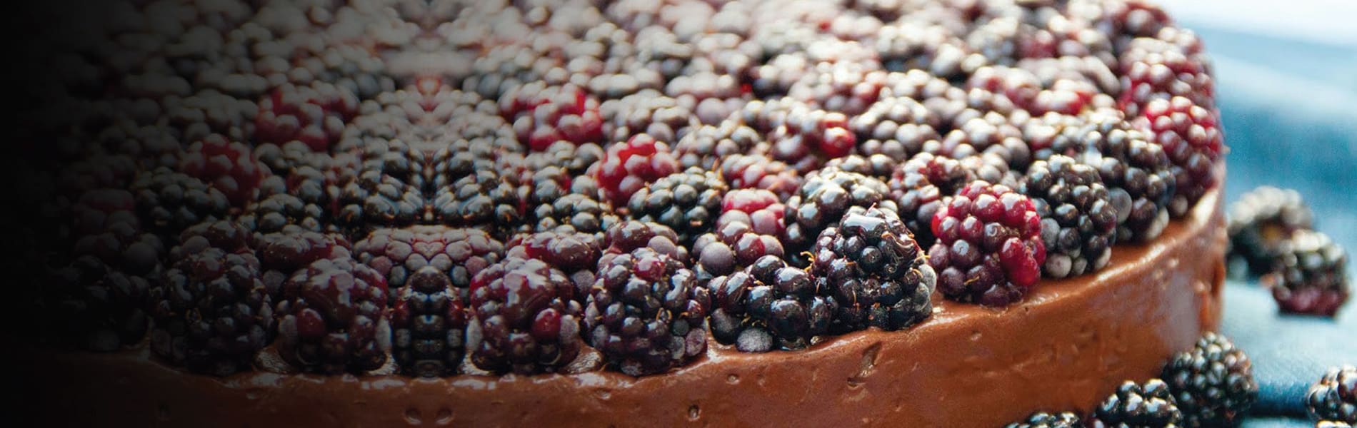 Avocado Chocolate Mousse Cake - Rocky Mountain Analytical